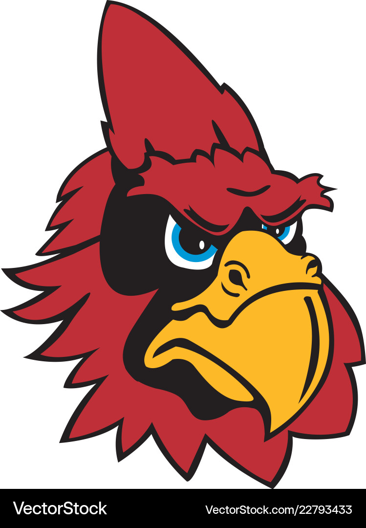 Cardinal Head Mascot Logo Royalty Free Vector Image