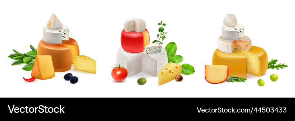 Realistic cheese composition set Royalty Free Vector Image