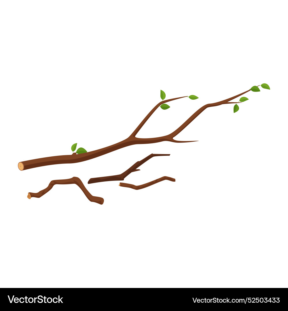 Tree branch pile with leaves and dry twigs Vector Image