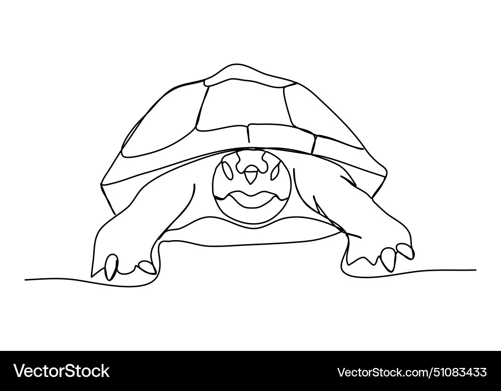 Turtle one line drawing Royalty Free Vector Image