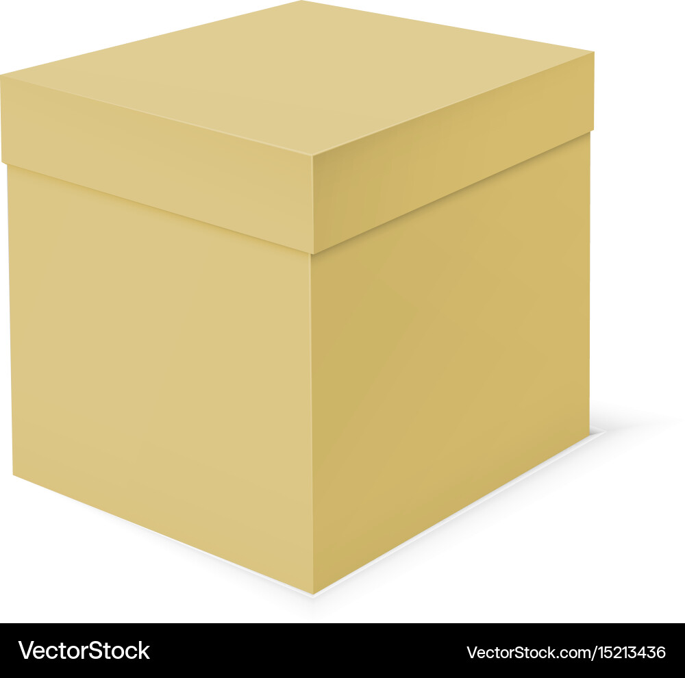 Blank cardboard box template on white background Vector Image