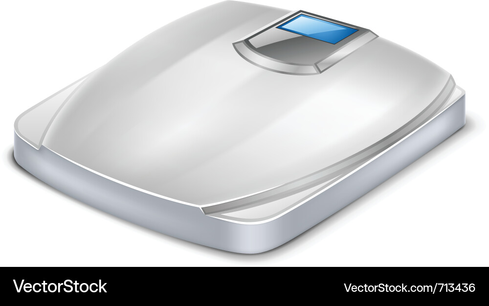 Floor scales Royalty Free Vector Image - VectorStock