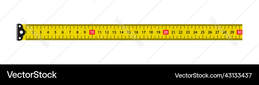 Yellow ruler with scale metric measure tape Vector Image