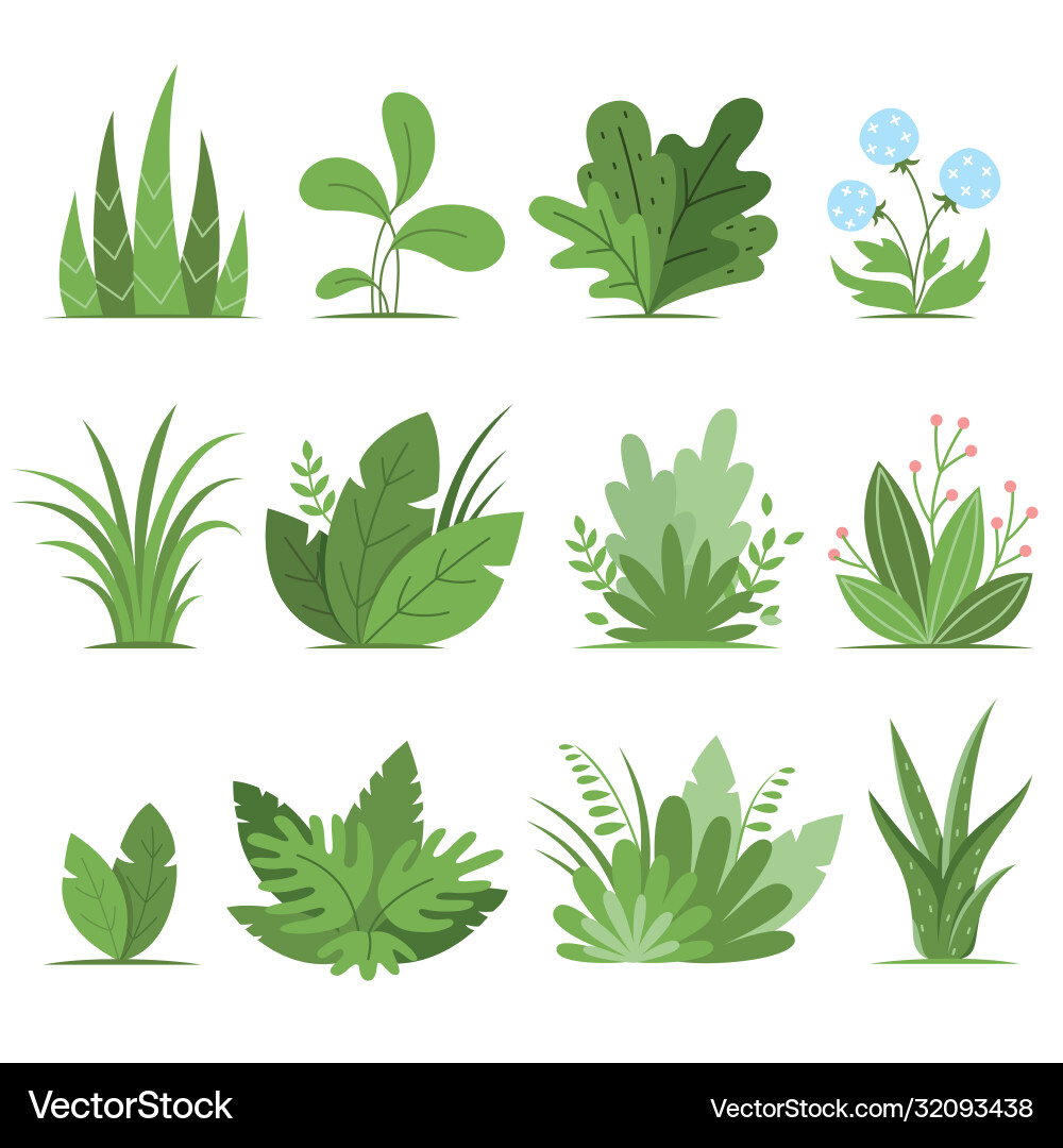Bushes plants and herbs collection Royalty Free Vector Image