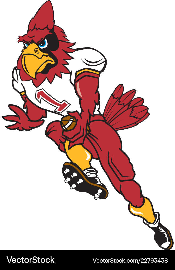Cardinal Football Mascot Logo Royalty Free Vector Image