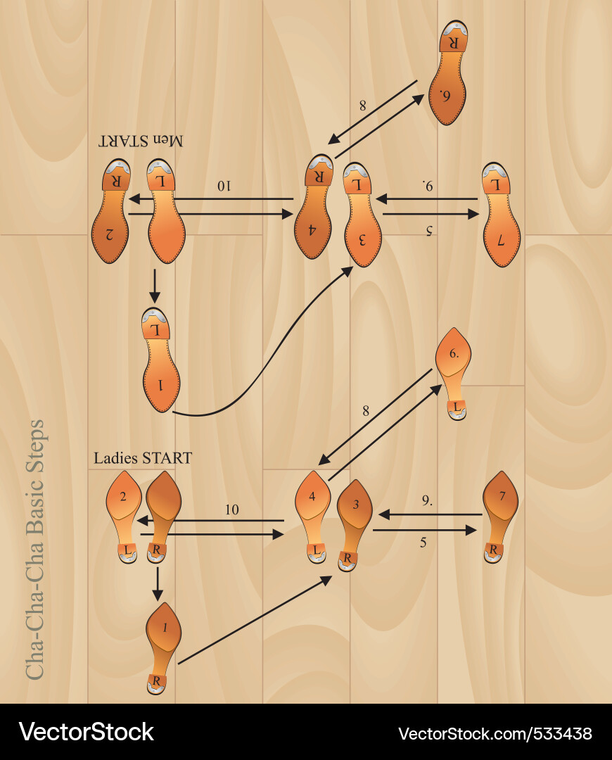 Chacha basic steps Royalty Free Vector Image - VectorStock
