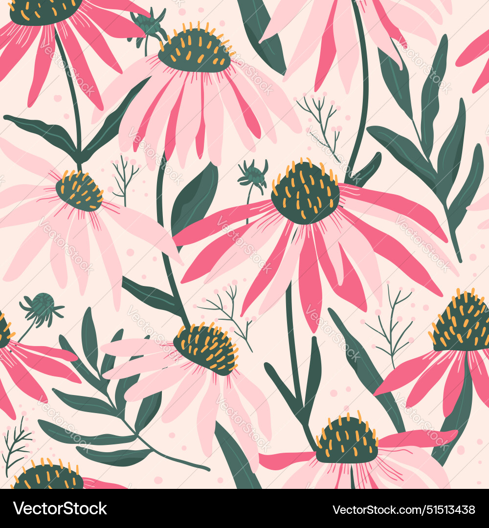 Coneflowers seamless pattern floral endless Vector Image