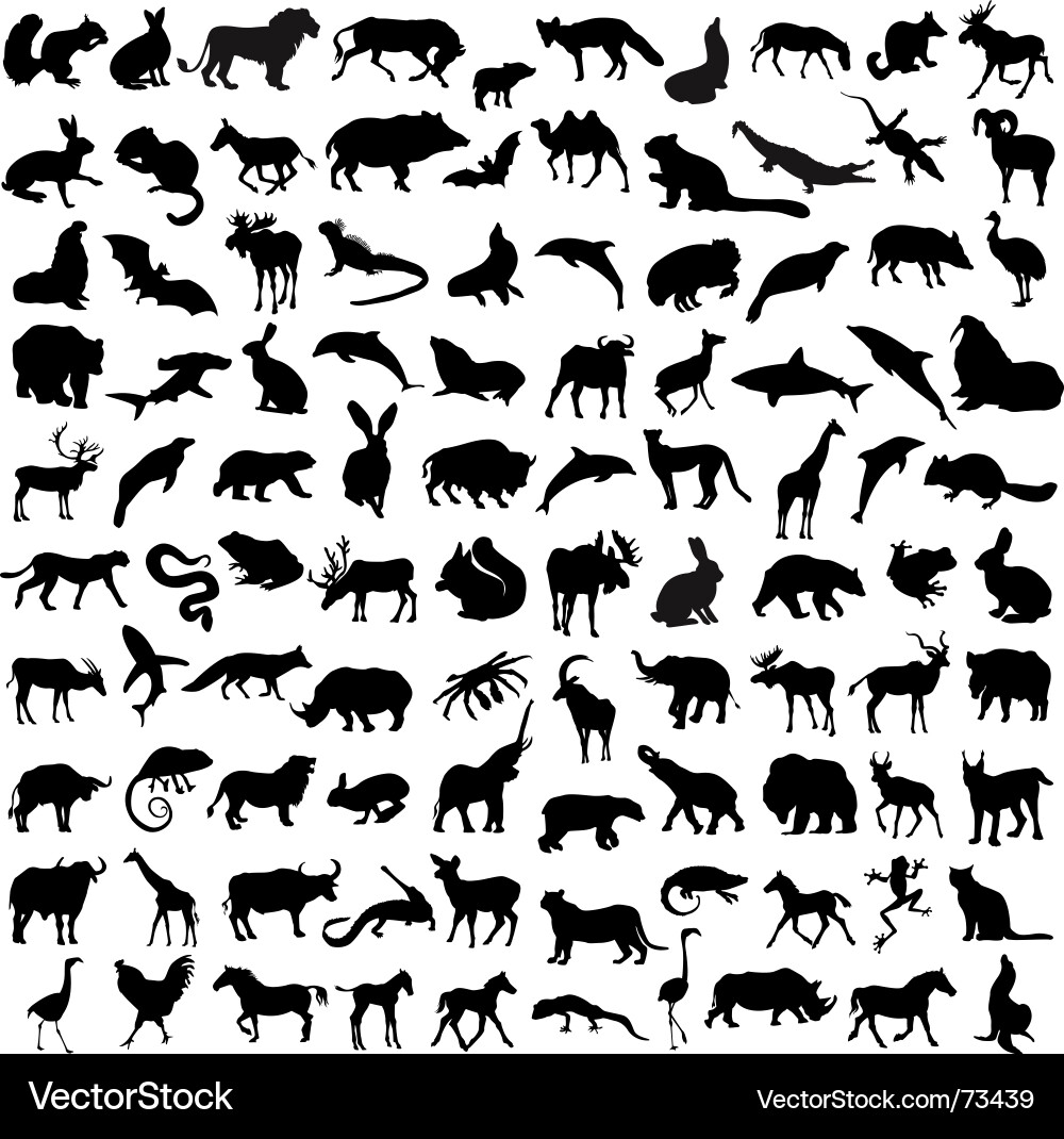 Animals silhouettes Royalty Free Vector Image - VectorStock Animals silhouettes Royalty Free Vector Image - VectorStock