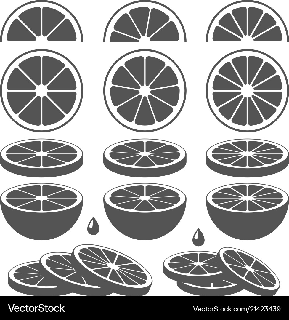 Citrus Fruit Slices - Lemon, Lime, Orange – Royalty-Free Vector ...