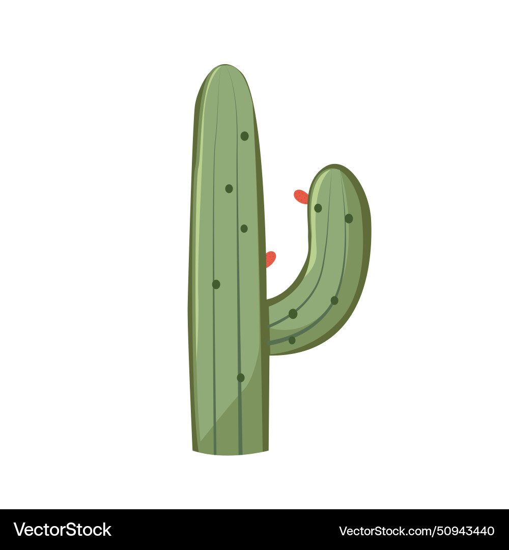 Simple cactus tree clipart cacti plant Royalty Free Vector