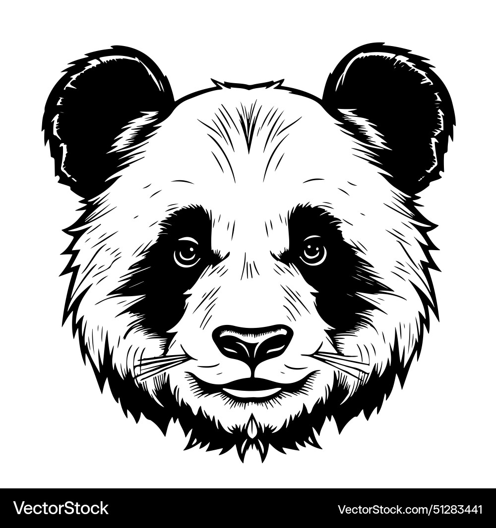 Panda head is symmetrical looks right sketch Vector Image