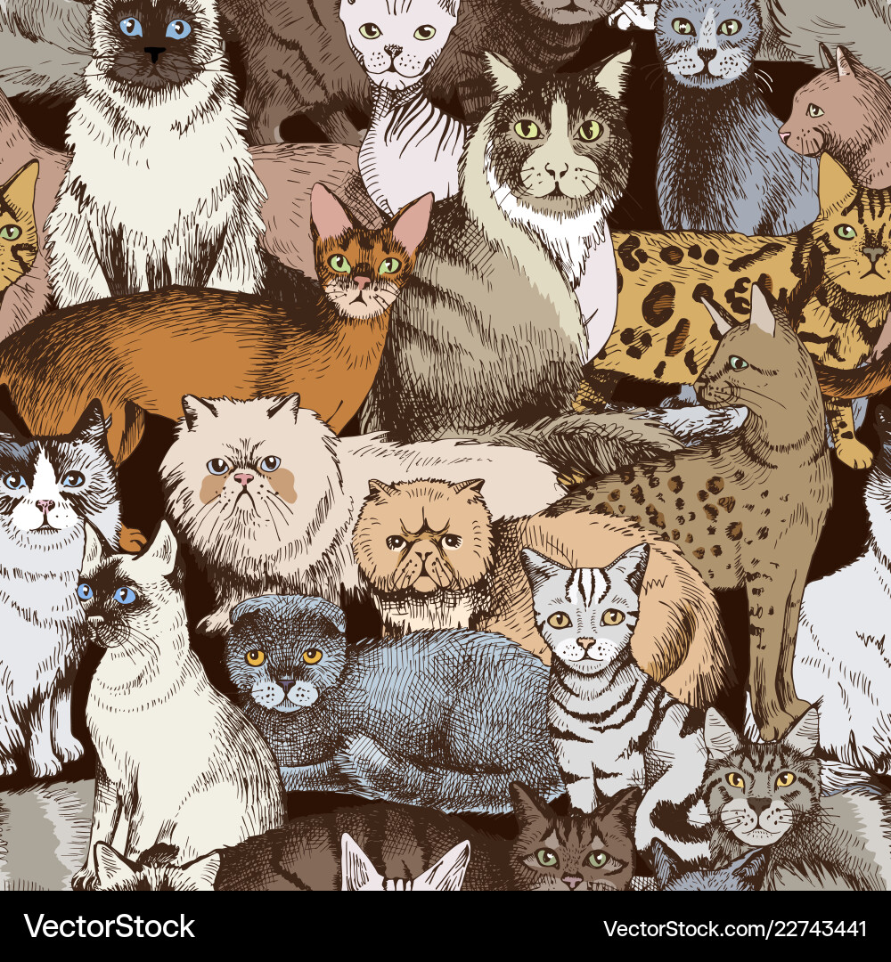 Seamless pattern with 16 hand drawn purebred cats Vector Image