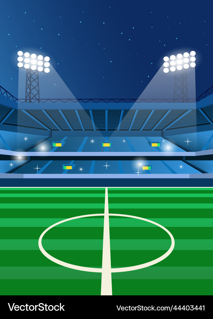Soccer stadium at night Royalty Free Vector Image