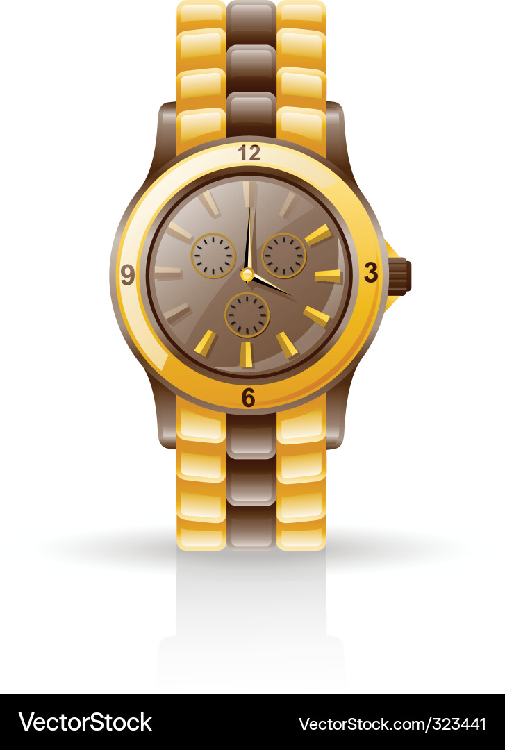 Watch Royalty Free Vector Image - VectorStock