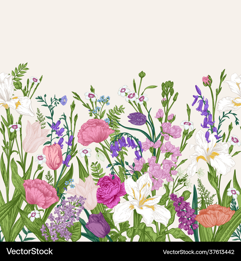 Blooming Floral Border - Spring Garden Royalty Free Vector
