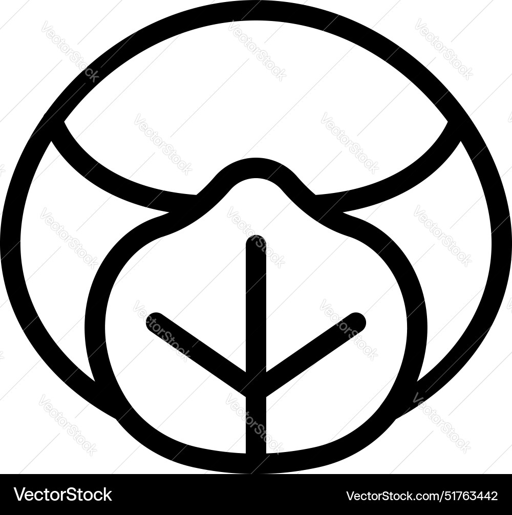 Brussels sprout icon showing green vegetable Vector Image