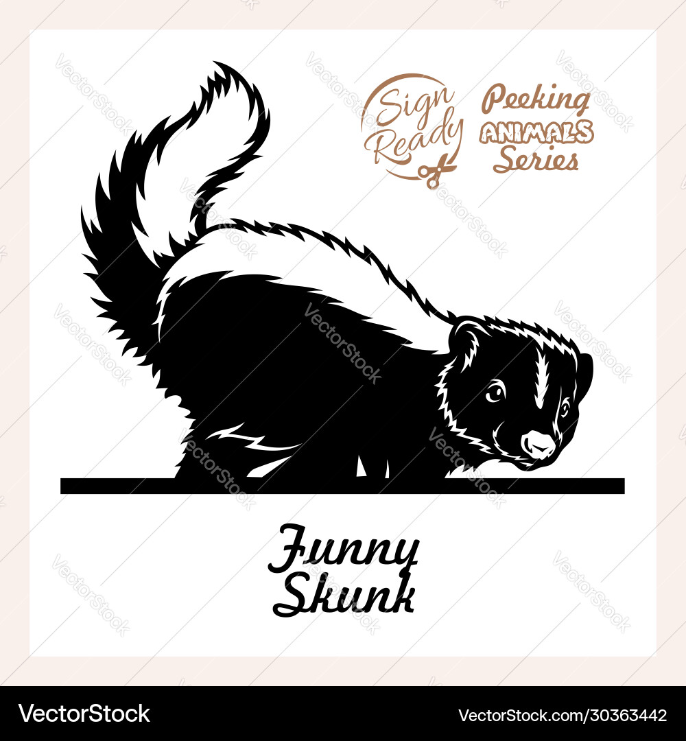 Skunk lifted its tail - funny peeking out Vector Image