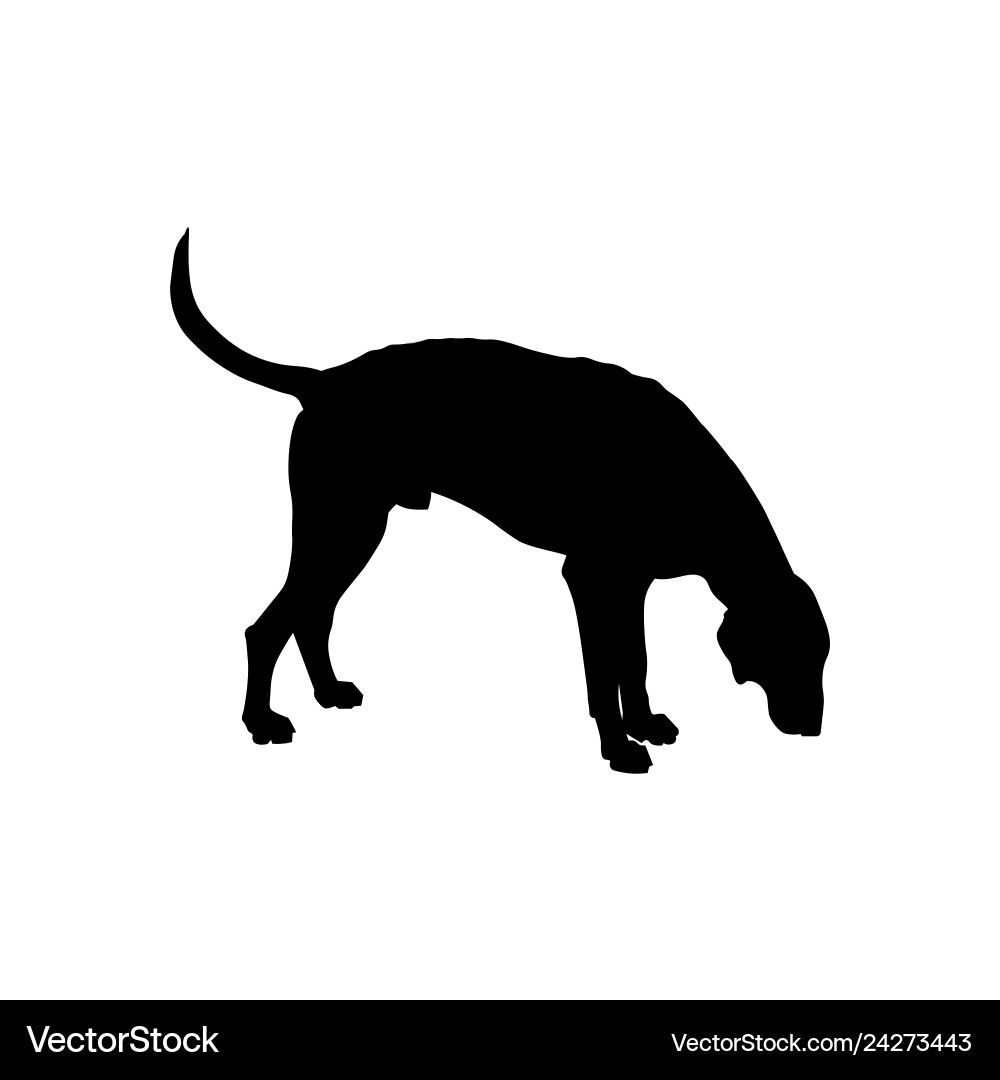 Hunting dog Royalty Free Vector Image - VectorStock