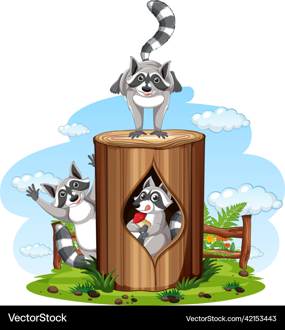 Three raccoons playing in the park Royalty Free Vector Image