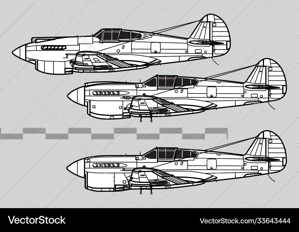 Curtiss p-40 warhawk Royalty Free Vector Image