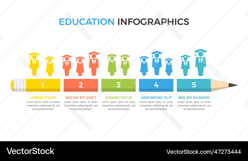Education infographics with pencil Royalty Free Vector Image