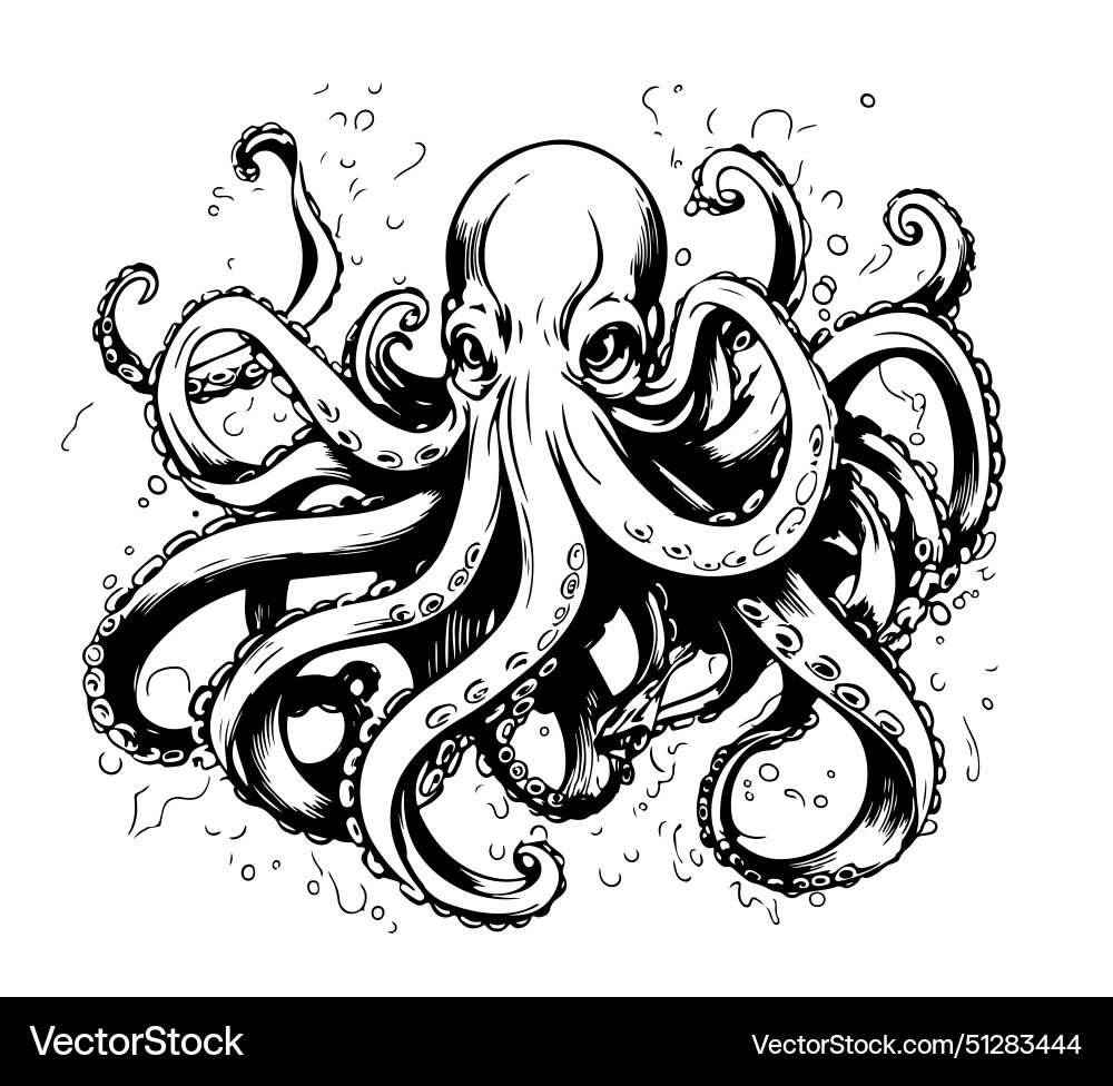Octopus hand drawing vintage engraving on white Vector Image