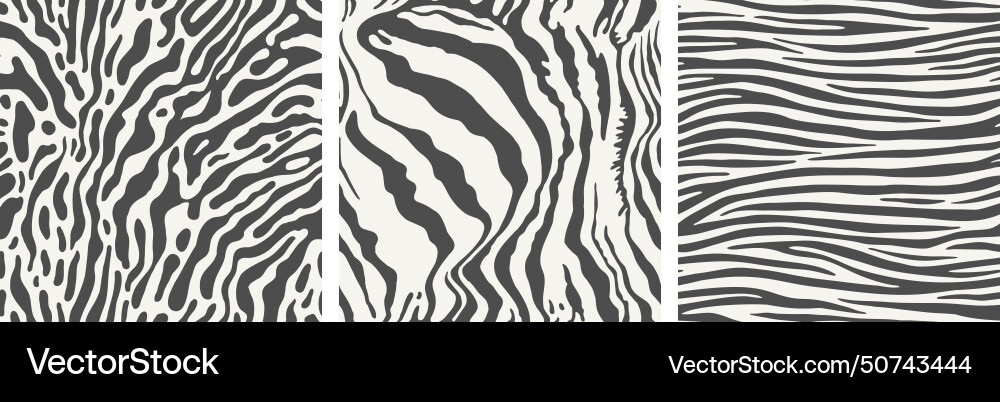 Set of three seamless zebra skin patterns Vector Image