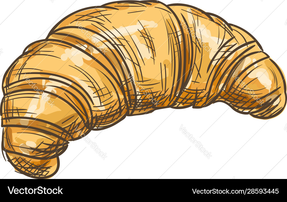 French roll isolated croissant sketch Royalty Free Vector