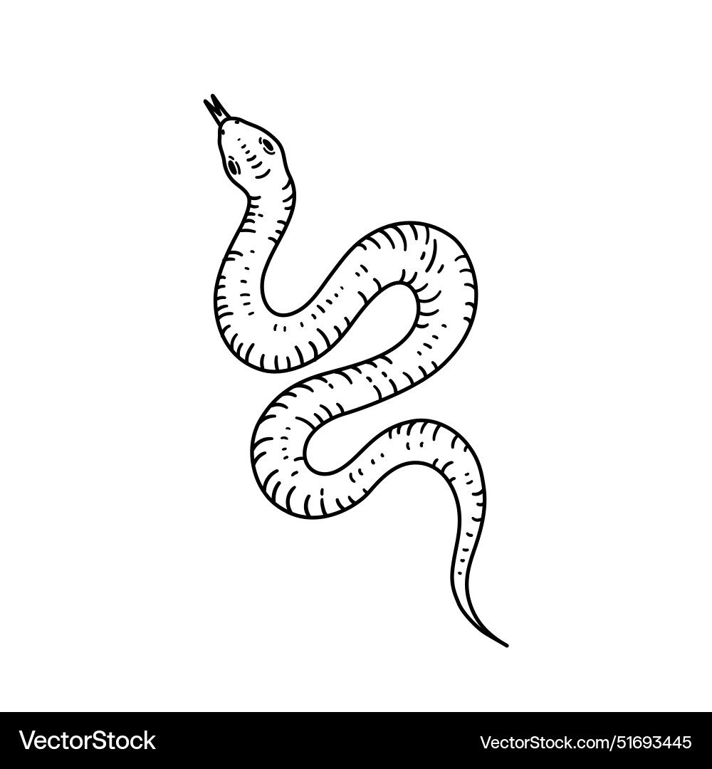 Viper in line style Royalty Free Vector Image - VectorStock