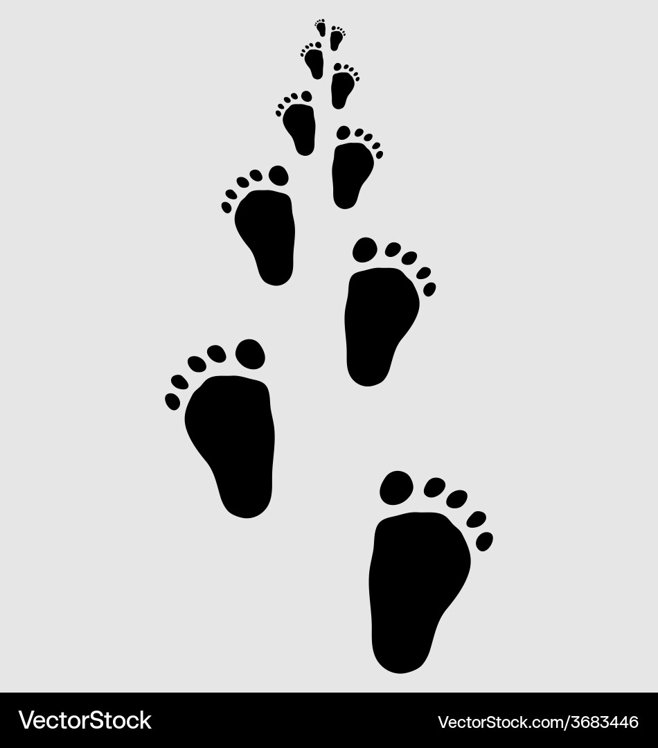 Baby feet Royalty Free Vector Image - VectorStock
