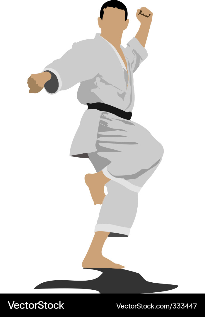 Karate Athlete in Action Royalty Free Vector Image
