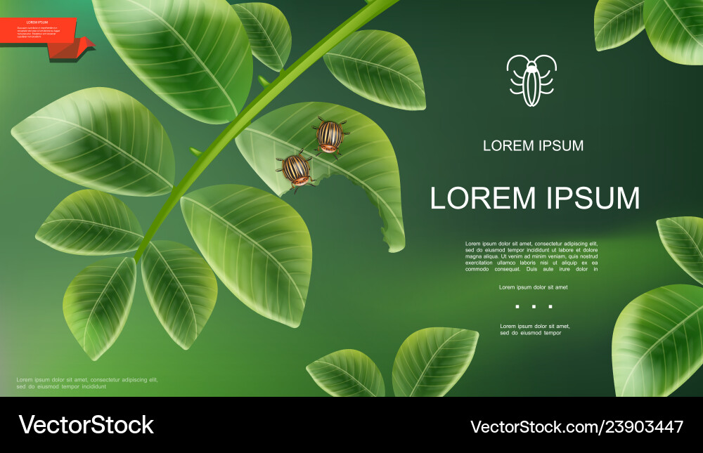 Realistic Insects Natural Template Royalty Free Vector Image