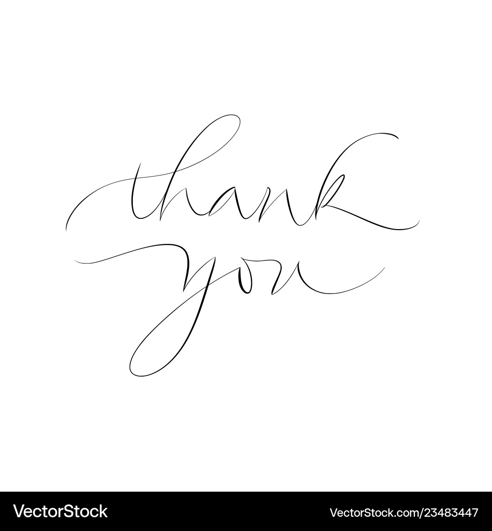 Thank you calligraphy Royalty Free Vector Image