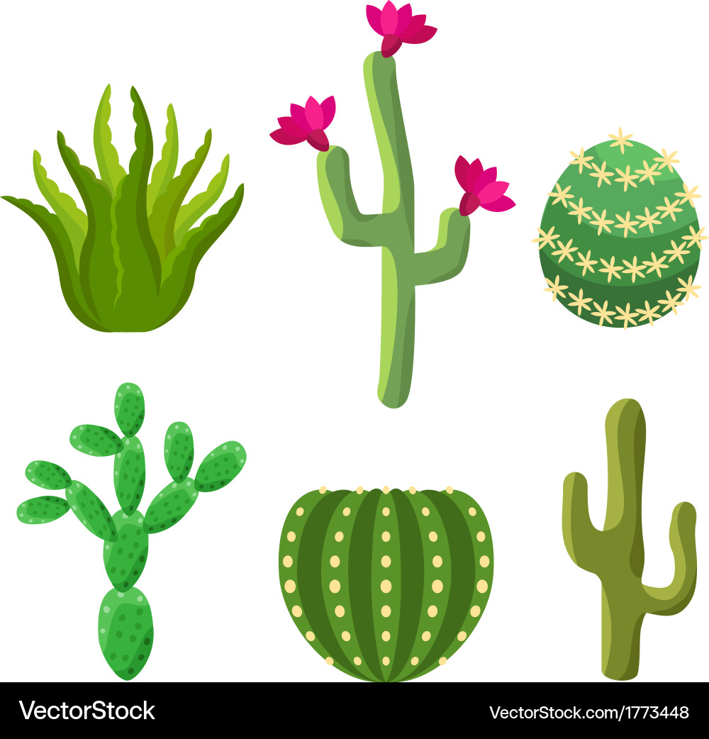 Cactus set Royalty Free Vector Image - VectorStock