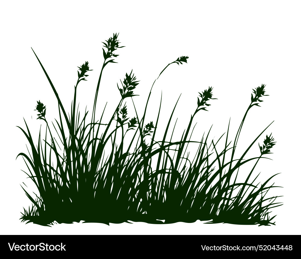 Doodle grass hand drawn style Royalty Free Vector Image