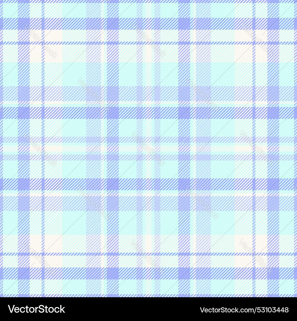 Formal fabric plaid check adorable pattern Vector Image