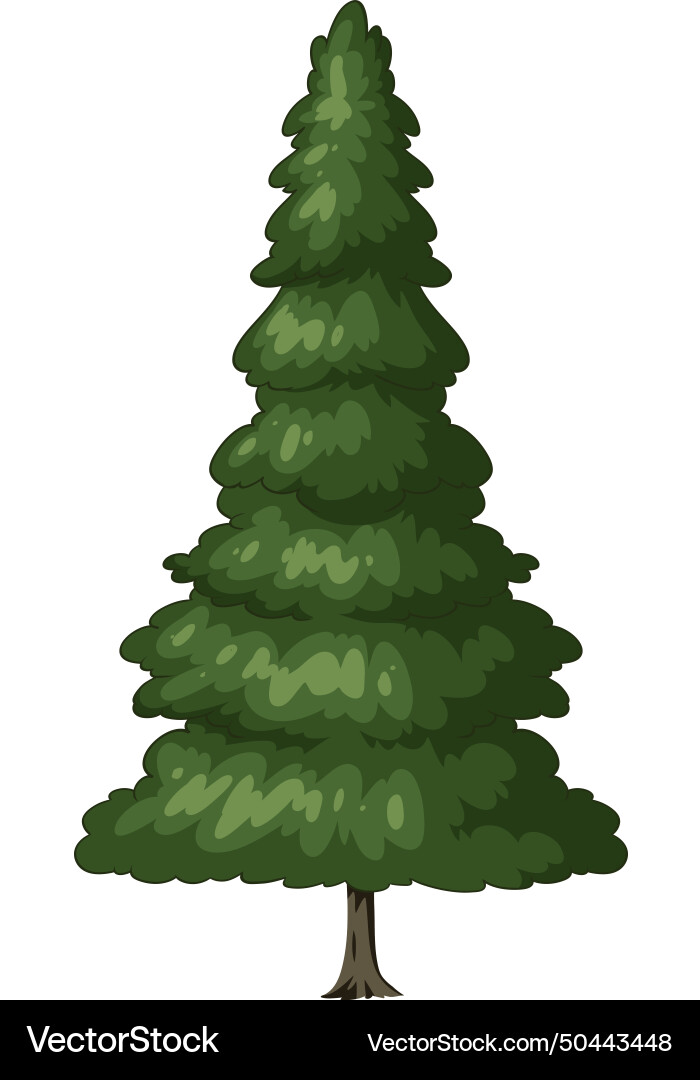 Graphic of a single evergreen pine tree Royalty Free Vector