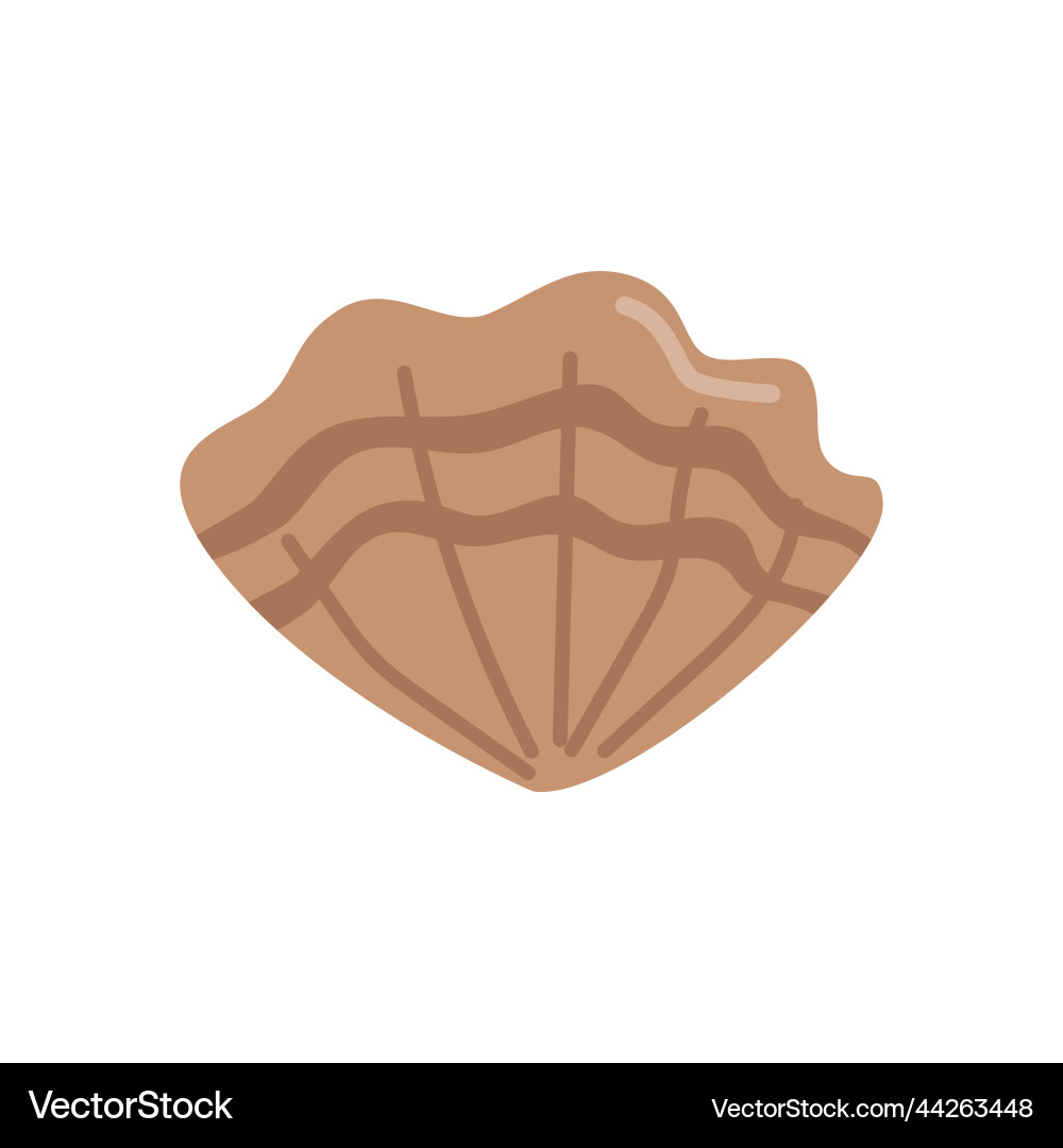 Marine tropical shell conch creature Royalty Free Vector