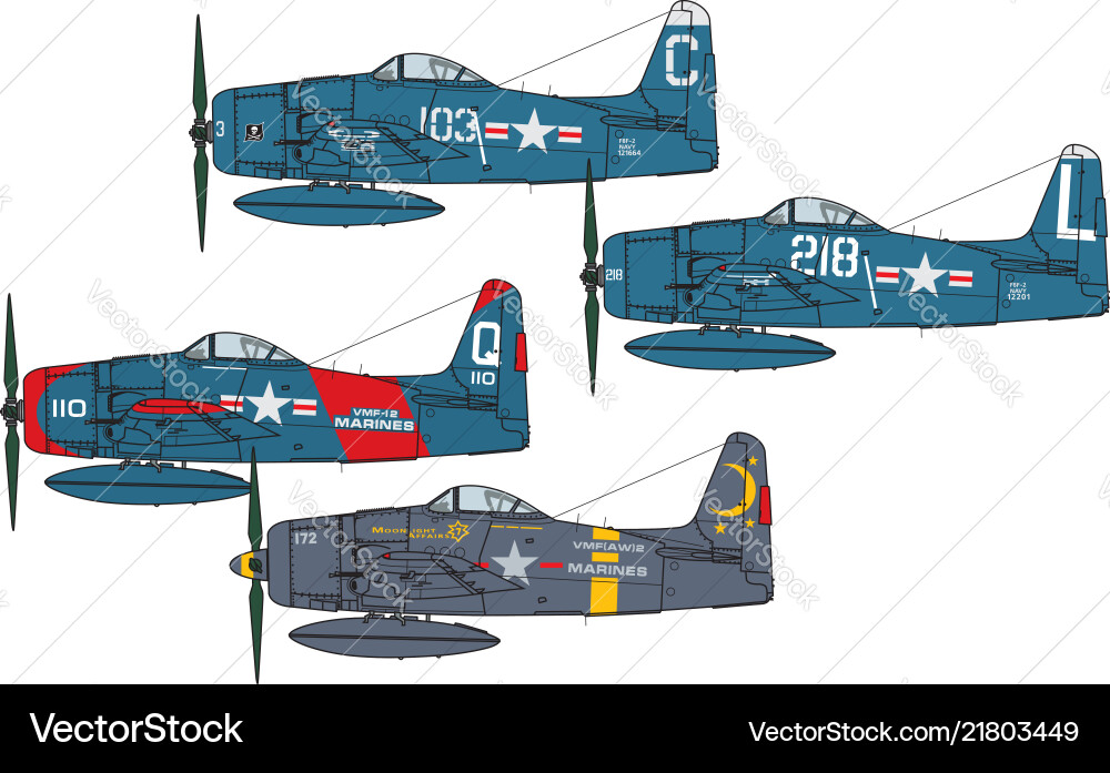 Aircraft color scheme Royalty Free Vector Image
