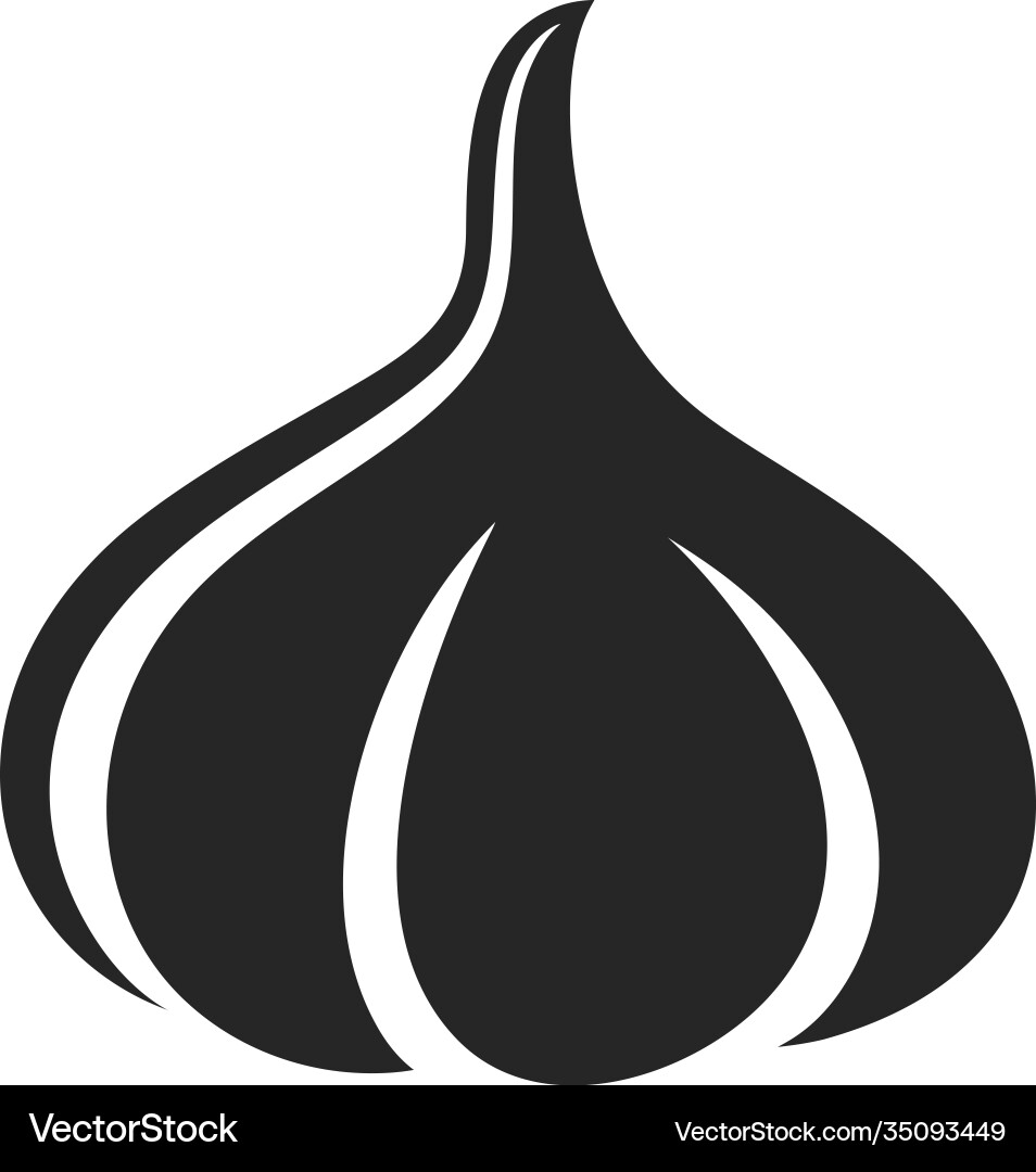 Garlic Royalty Free Vector Image - VectorStock