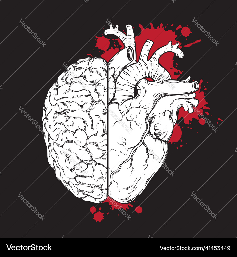 Hand drawn line art human brain and heart halfs Vector Image