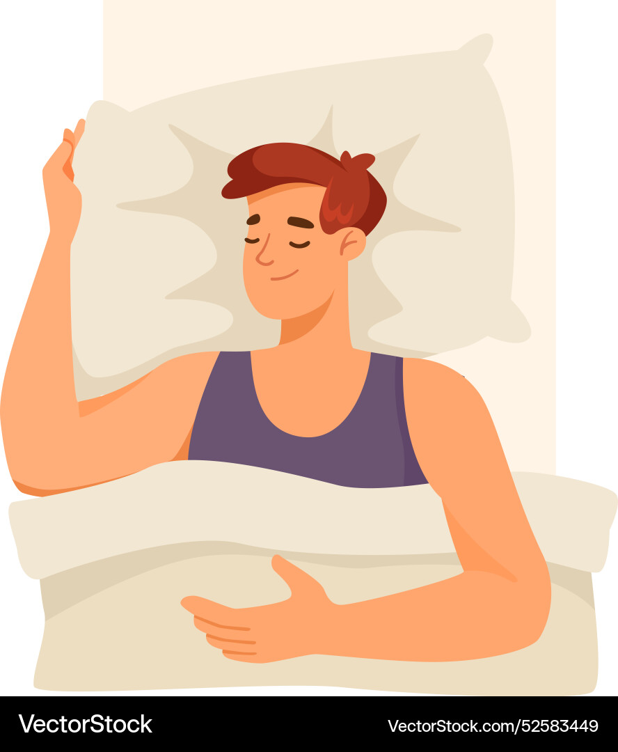 Man character sleep supports immunity engaged Vector Image