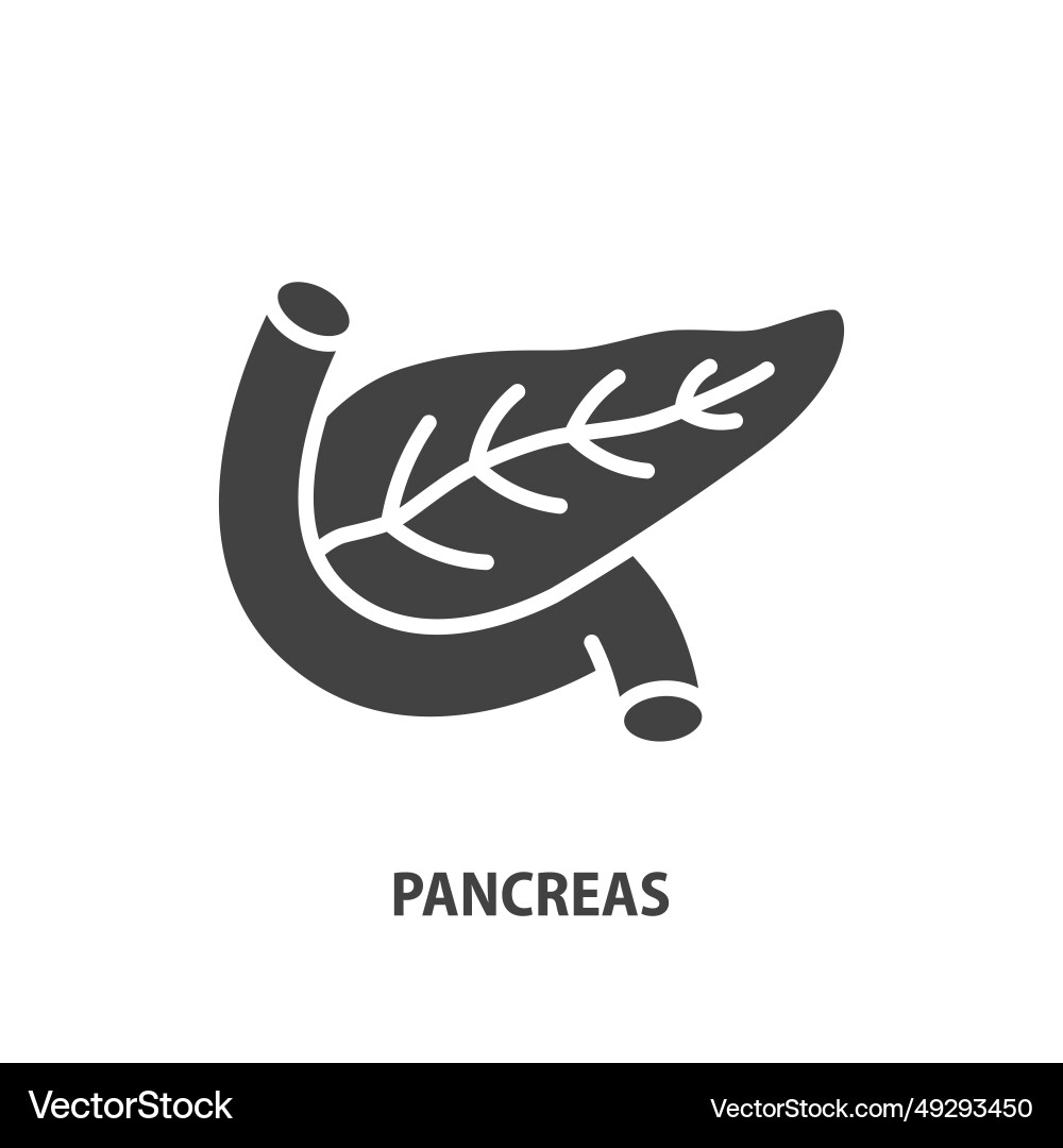 Pancreas glyph icon human internal organ Vector Image