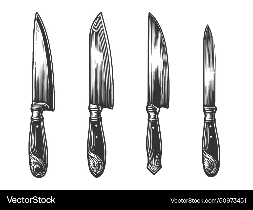 Set of chef knives engraving Royalty Free Vector Image