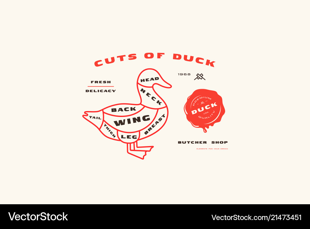 Stock duck cuts diagram in thin line style Vector Image