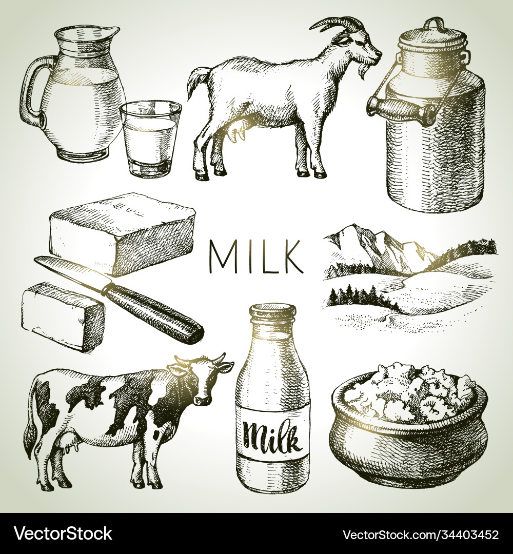 Hand drawn sketch milk products set black Vector Image