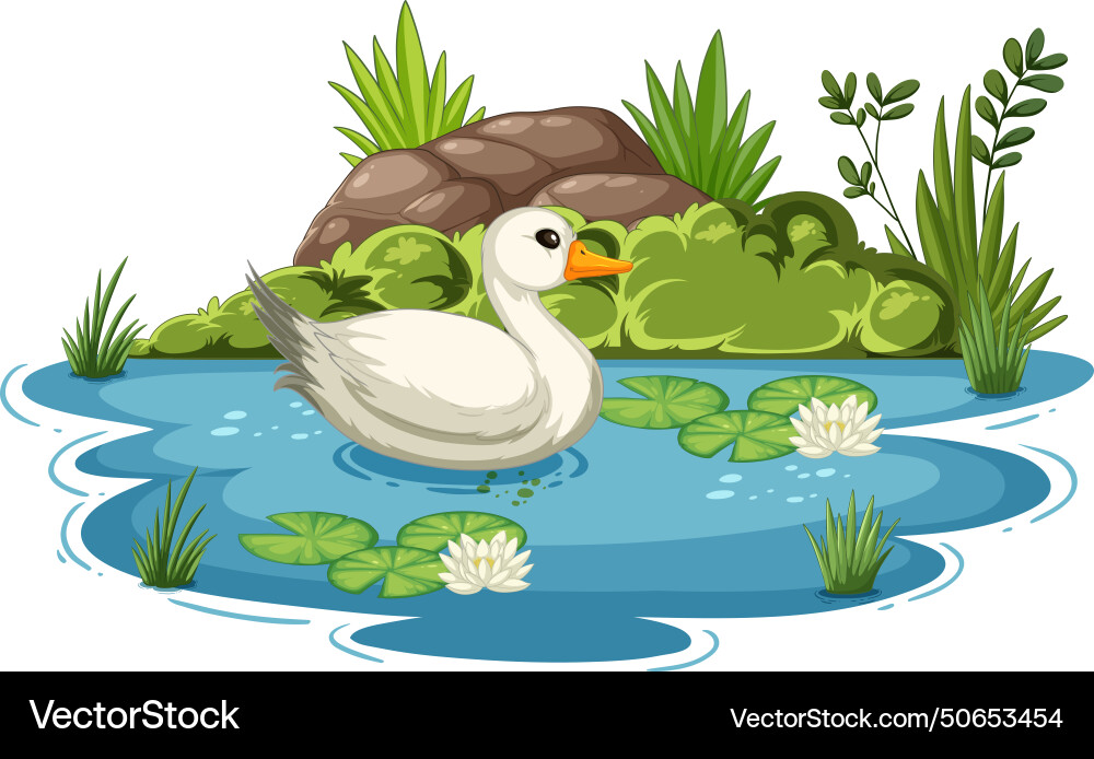 A peaceful duck floating in tranquil pond Vector Image