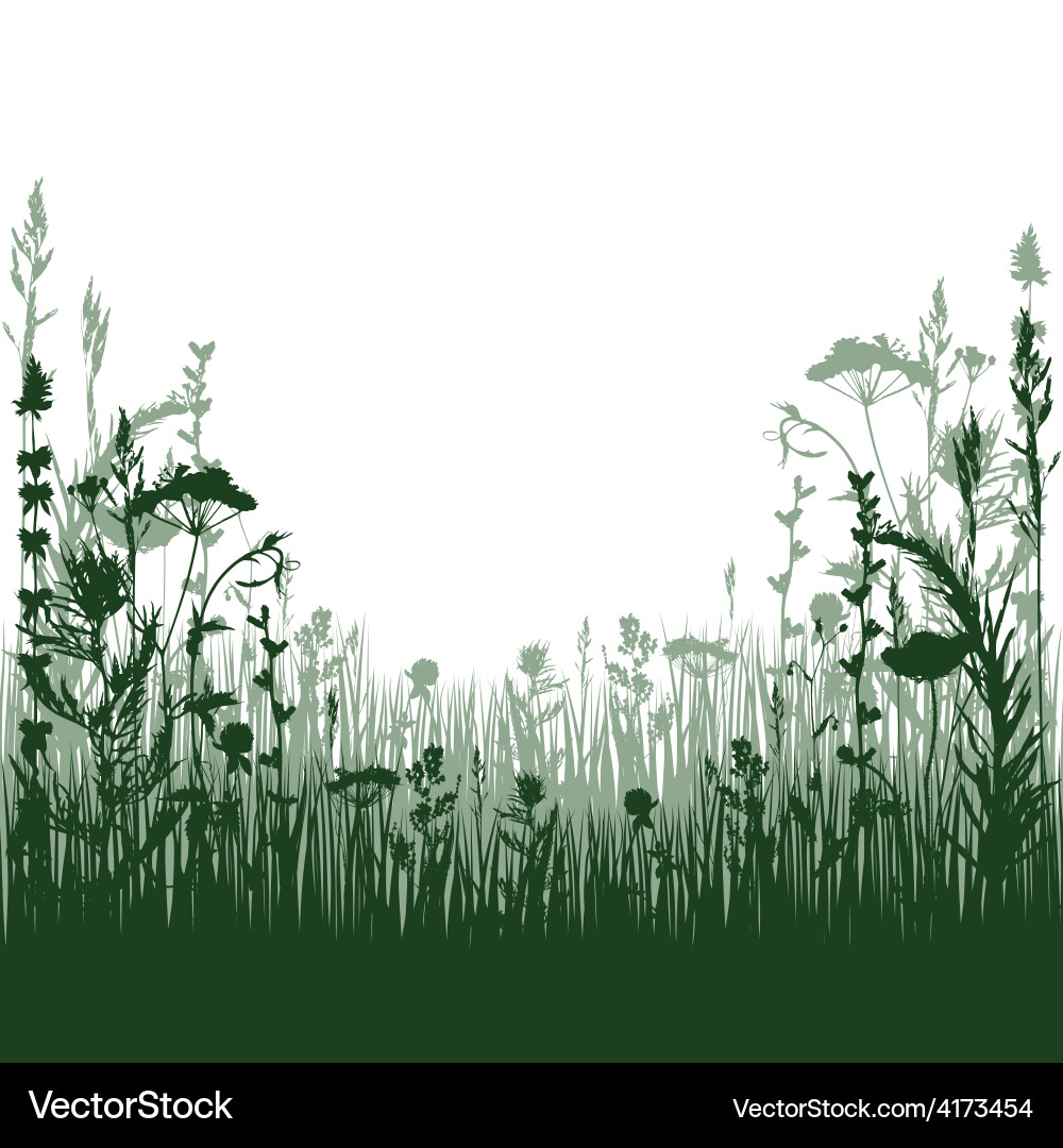 Meadow Royalty Free Vector Image - VectorStock