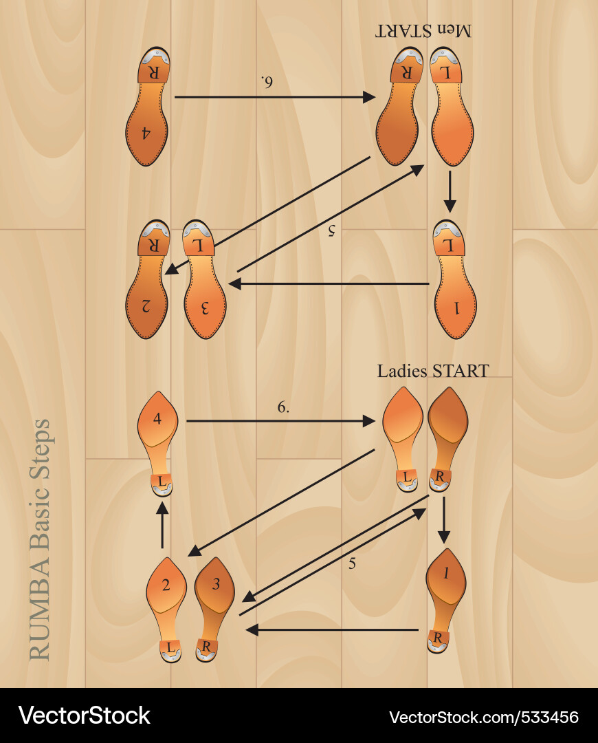 Rumba basic steps Royalty Free Vector Image - VectorStock