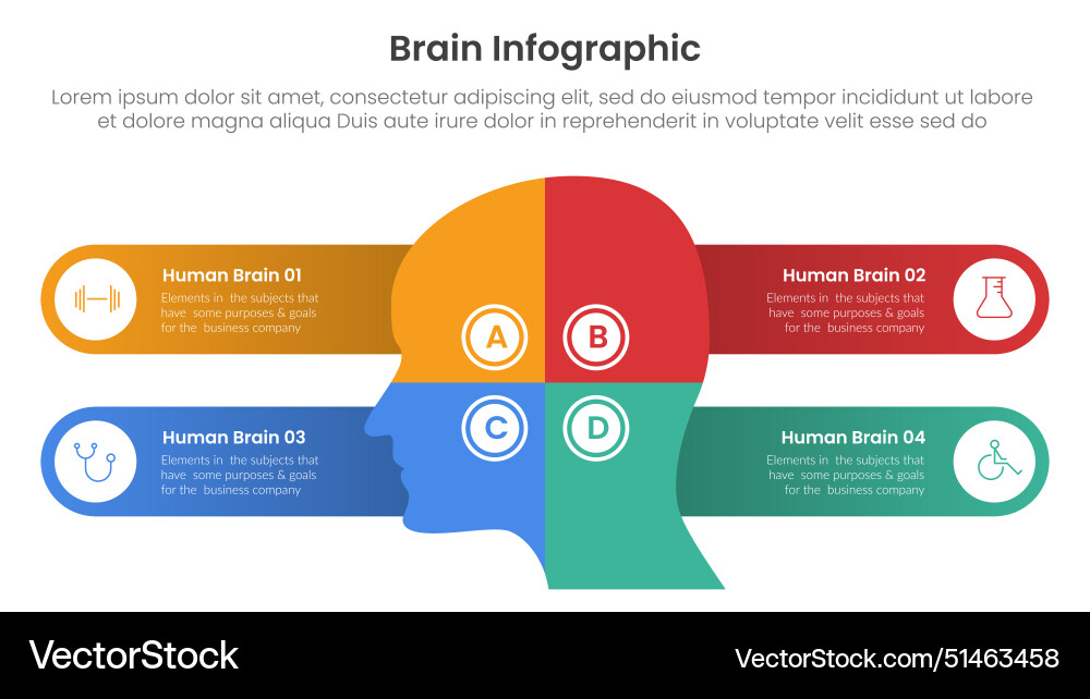 Human brain infographic template banner Royalty Free Vector